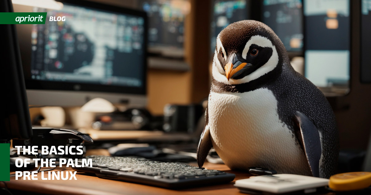 The Basics of The Palm Pre Linux | Apriorit