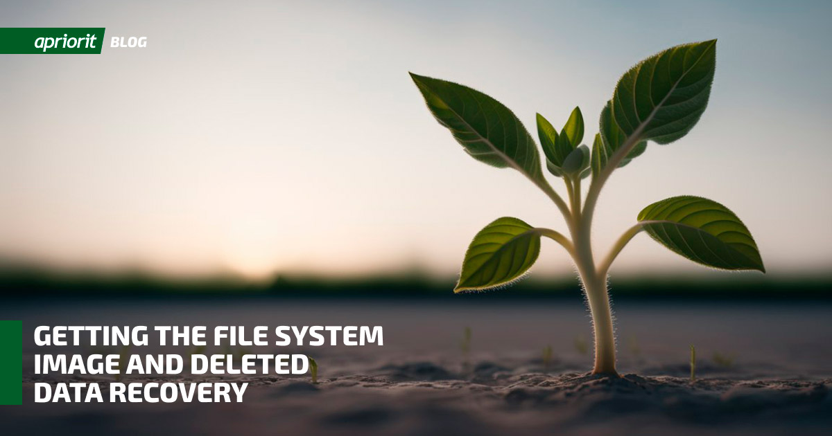 Getting the File System Image and Deleted Data Recovery | Apriorit