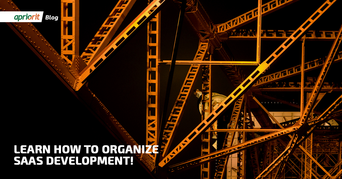 SaaS Development Lifecycle - Apriorit