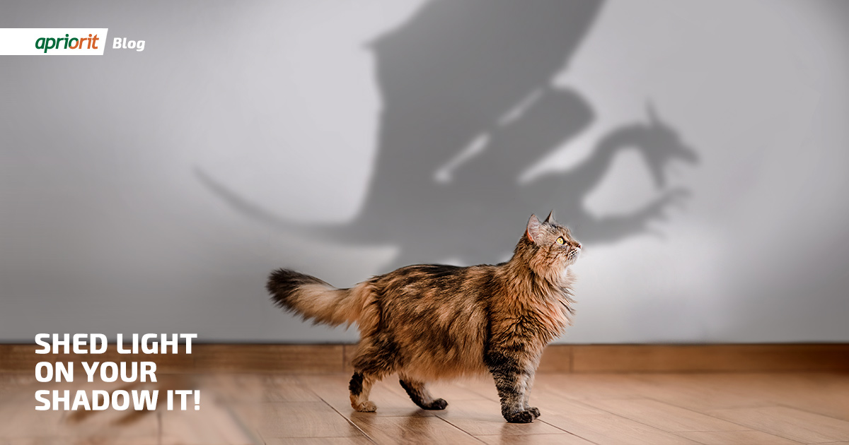 Risks of Shadow IT and How To Mitigate Them | Apriorit