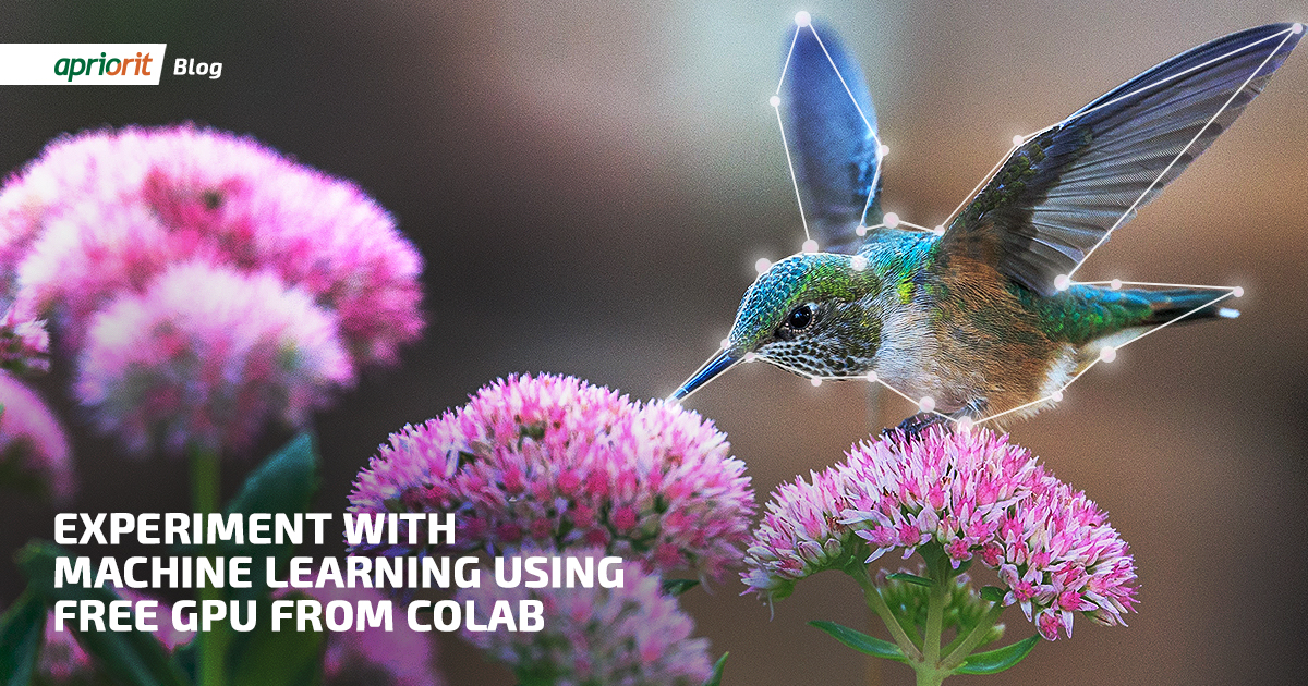 How to Use Google Colaboratory for Video Processing | Apriorit