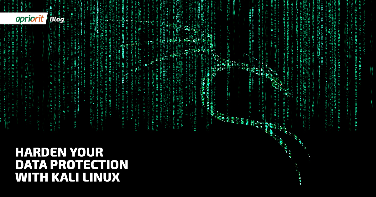 Using Kali Linux for Penetration Testing | Apriorit