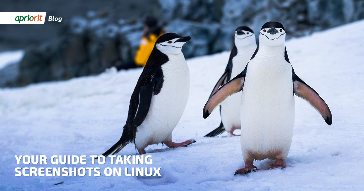 How to Take Multi-monitor Screenshots on Linux Using the Xlib and XCB Libraries | Apriorit