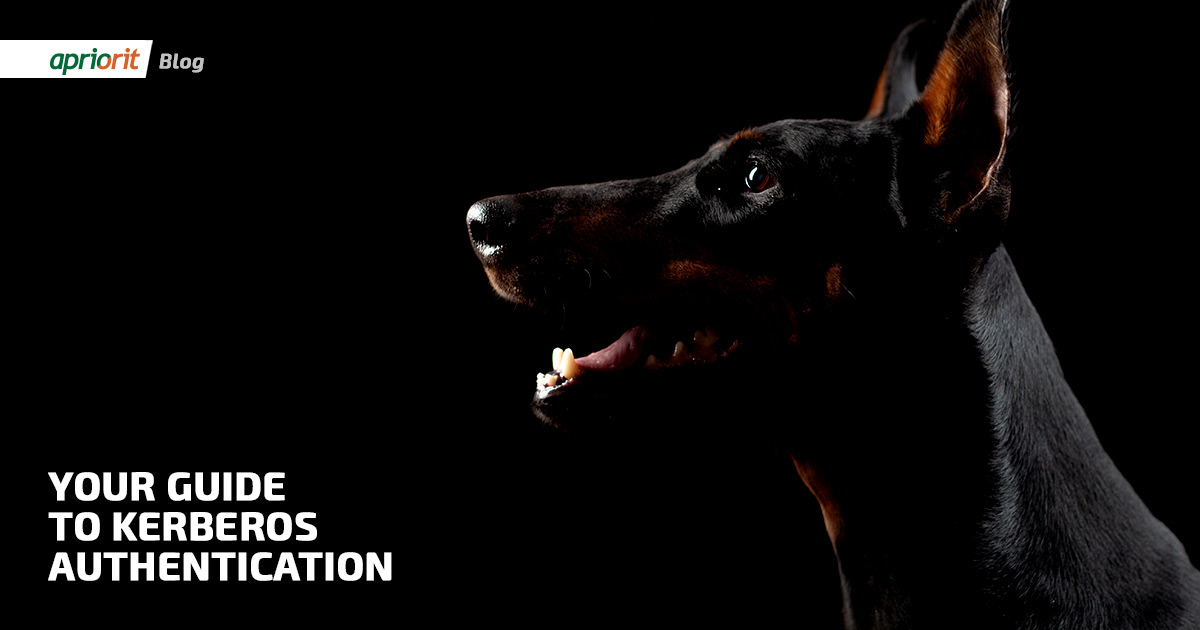 How to Implement Kerberos Authentication for Windows with the LSA ...