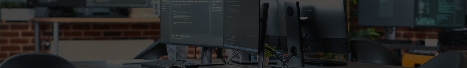 Custom Python Development Services | Apriorit