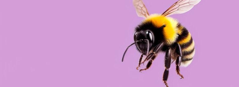 Top 7 Methods of Data Encryption in Android Applications | Apriorit